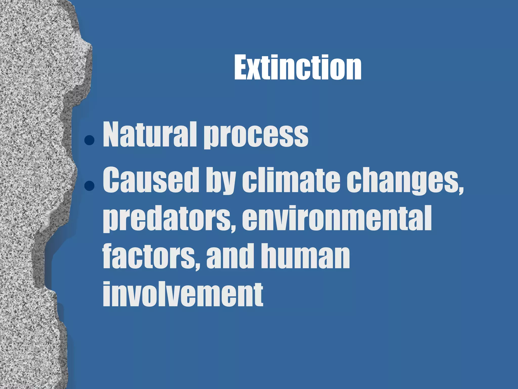 humans and the environment | PPT