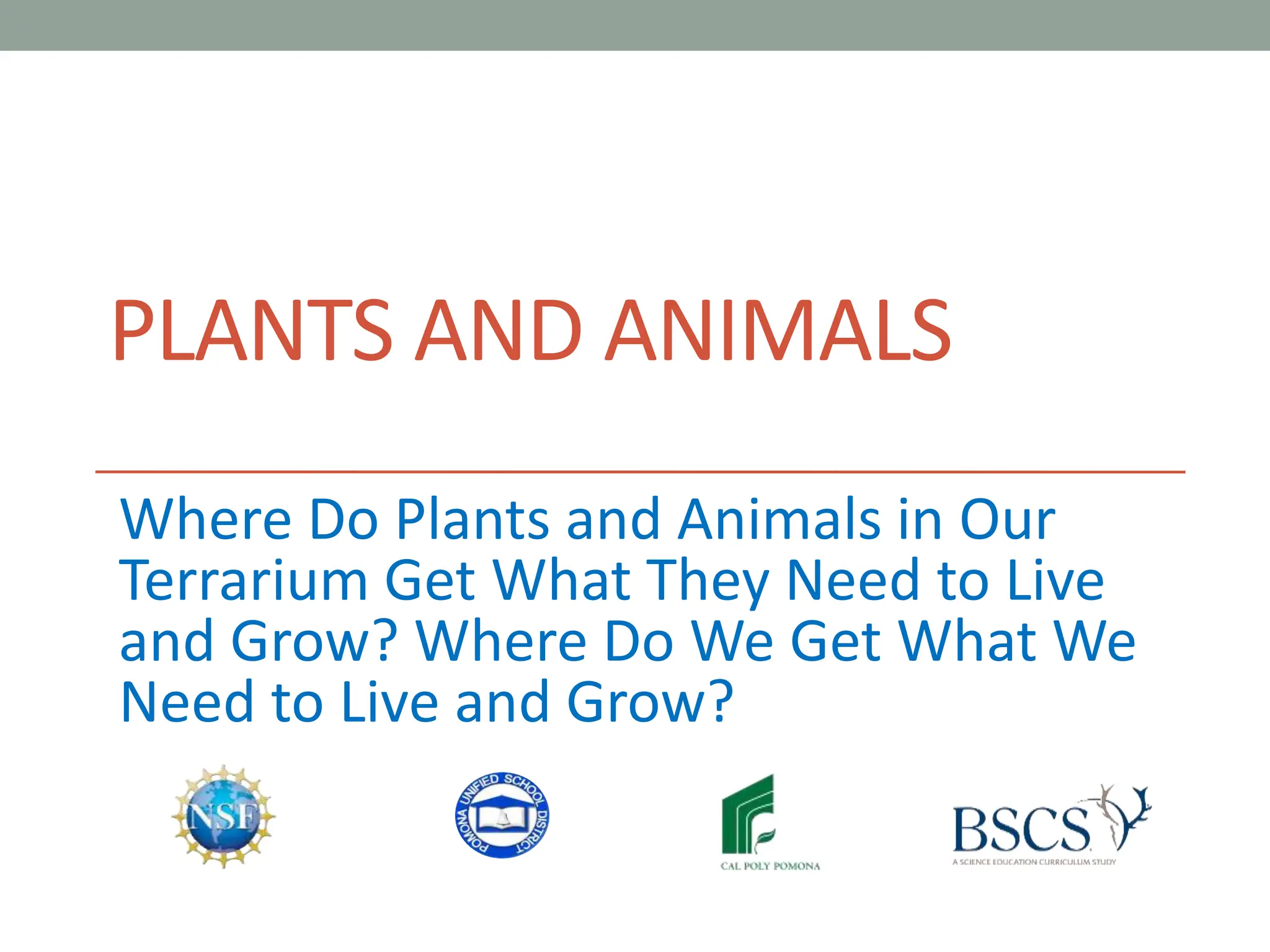 Environement of plant and animals definations.pptx