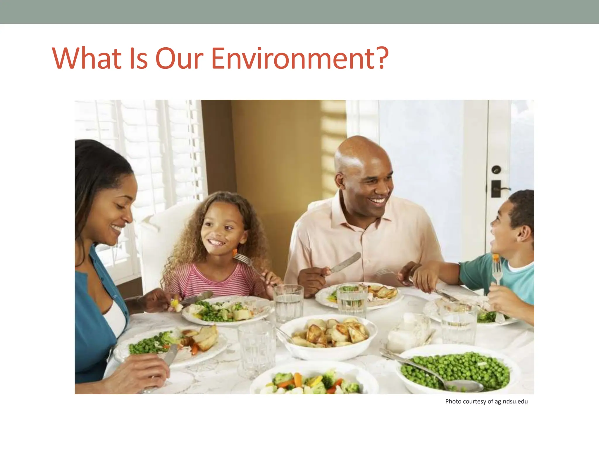 Environement of plant and animals definations.pptx