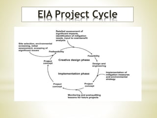 Environemental Impact Assessment.pptx