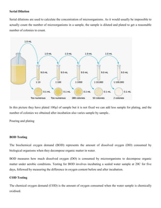 environemntal pollution notes.docx