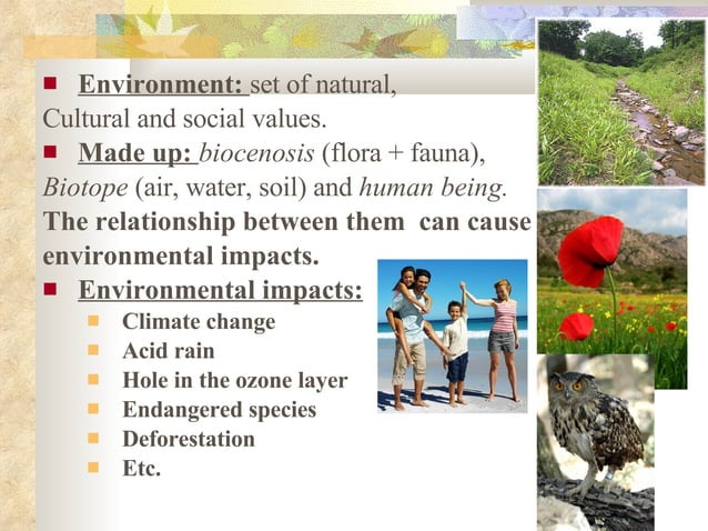 Environment | PPT | Indoor Environmental Quality | Home & Garden