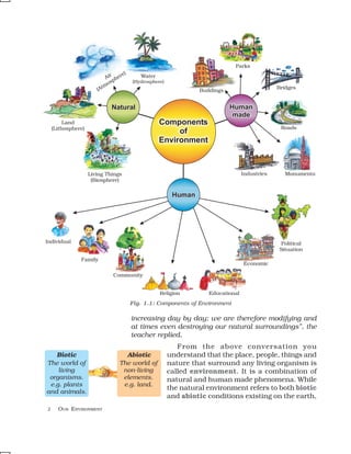 Environment | PDF