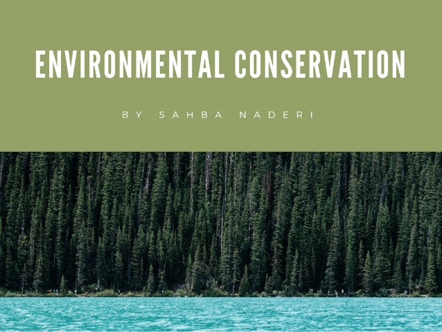 Why You Should Contribute to Environmental Conservation Why You Should Contribute to Environmental Conservation