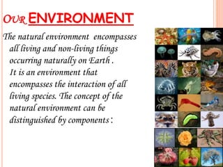 Environment | PPTX