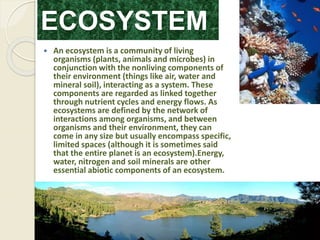 Environment | PPT