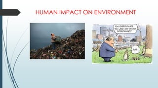 Environment and it causes | PDF