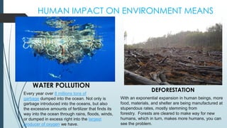 Environment and it causes | PDF