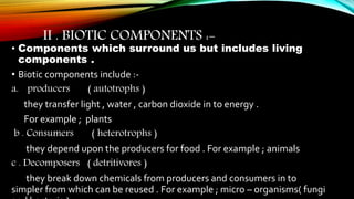 Environment | PPT