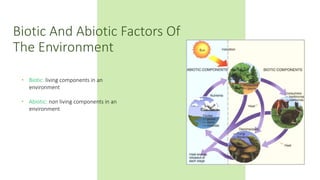 Environment | PPT