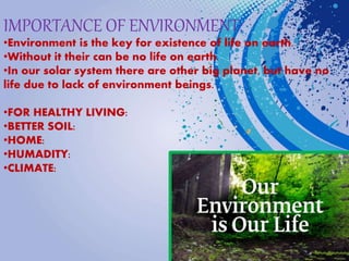 Environment and importance and environmental issues in Pakistan | PPTX