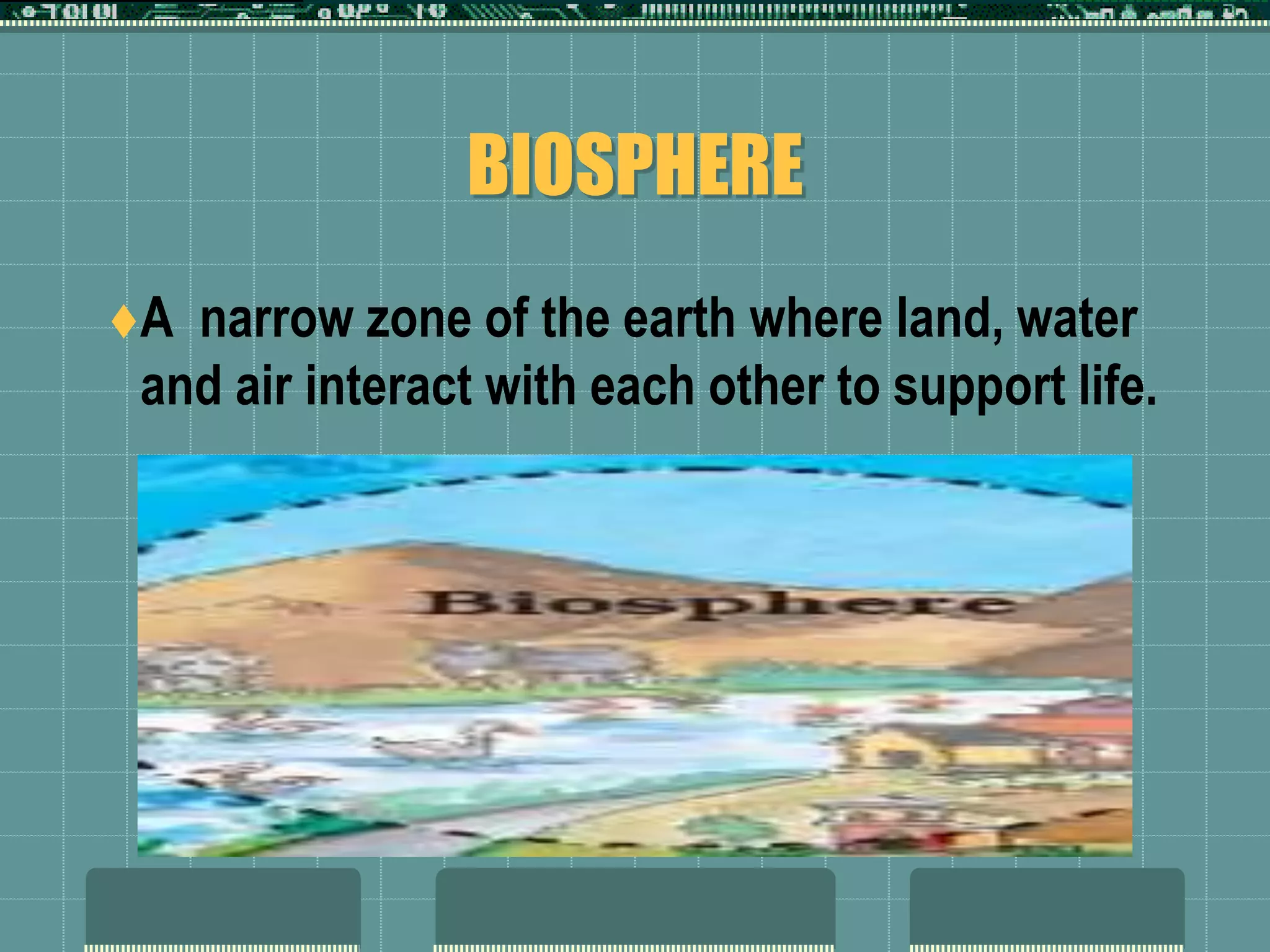 Environment CLASS 7TH SST | PPT