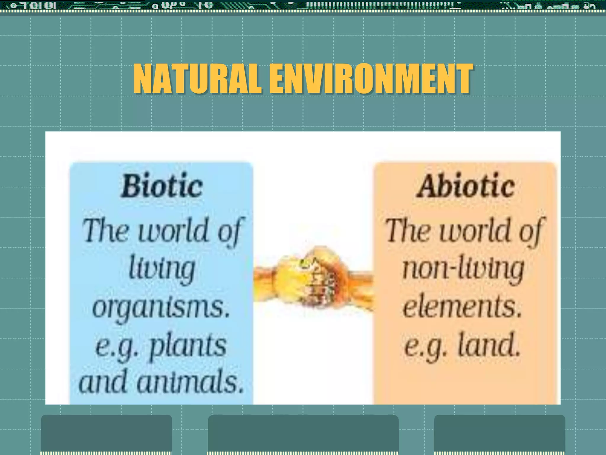 Environment CLASS 7TH SST | PPT