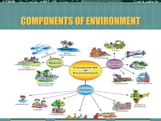 Environment CLASS 7TH SST | PPT