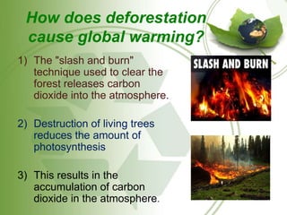 Environment; Pollution and other environmental problems | PPTX