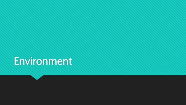 environment.pptx