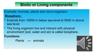 Overview of Environment its components.. | PPT