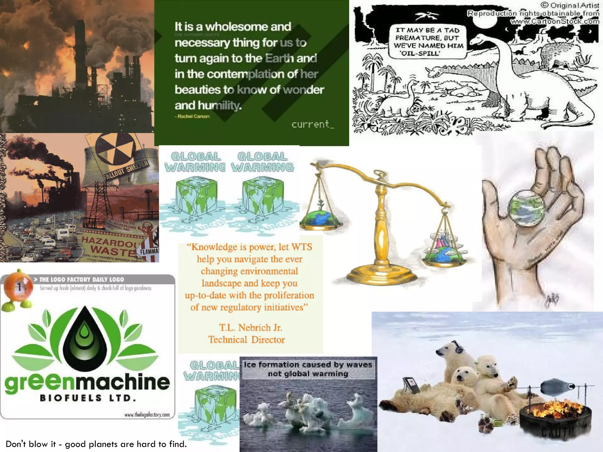 Environment Collages G1 | PPT