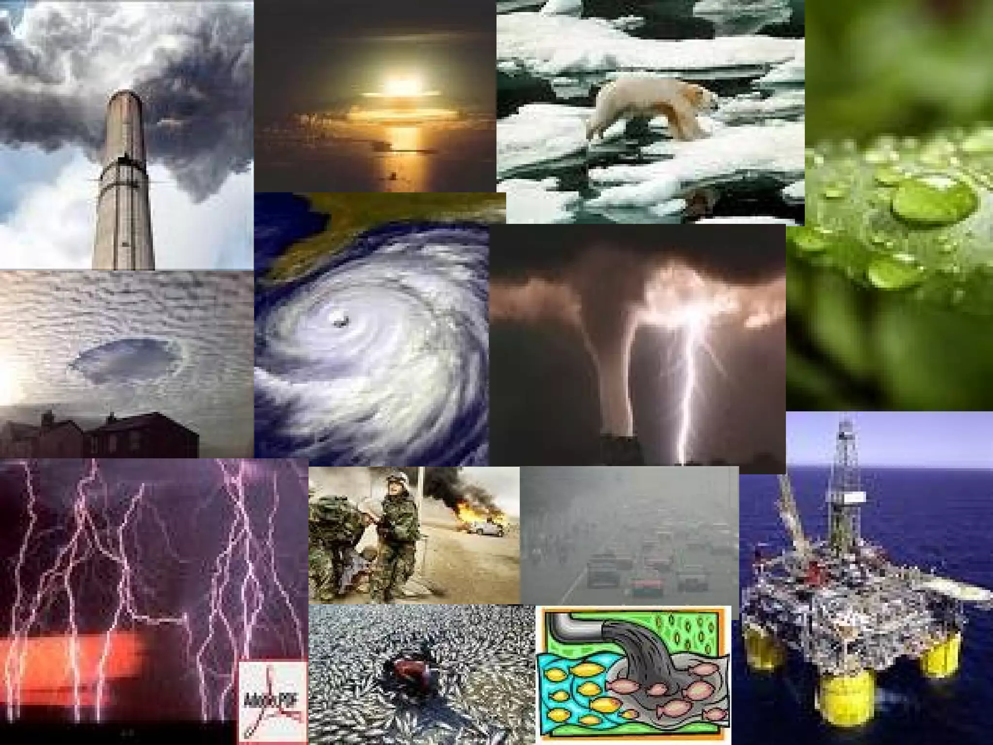 Environment Collages G1 | PPT