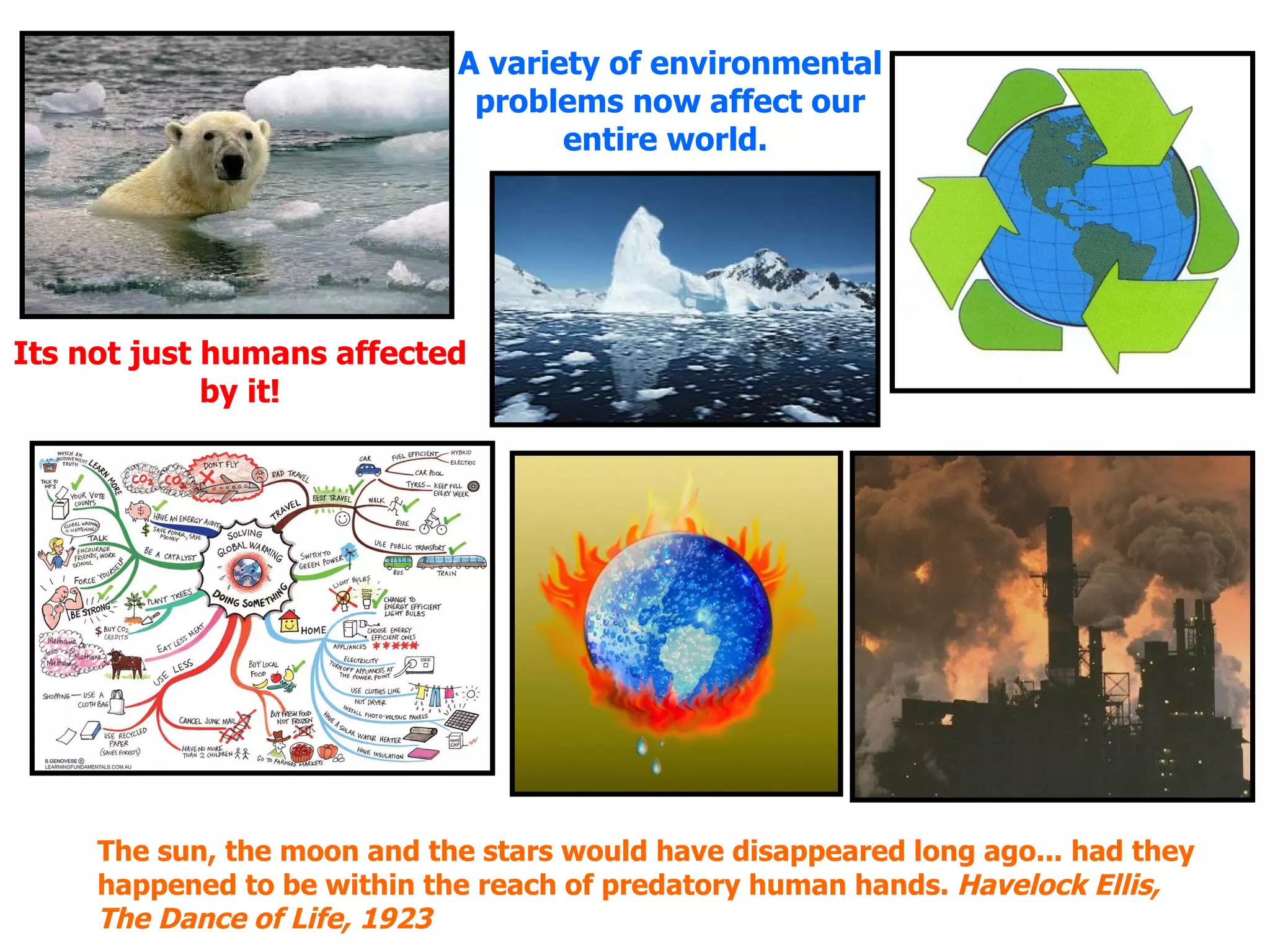 Environment Collages G1 | PPT