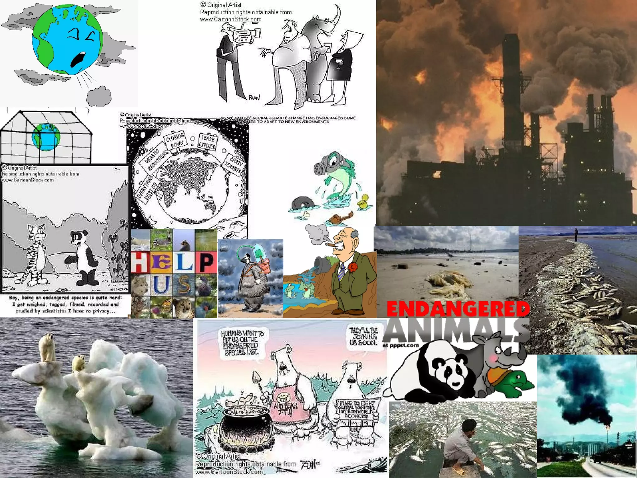 Environment Collages G1 | PPT