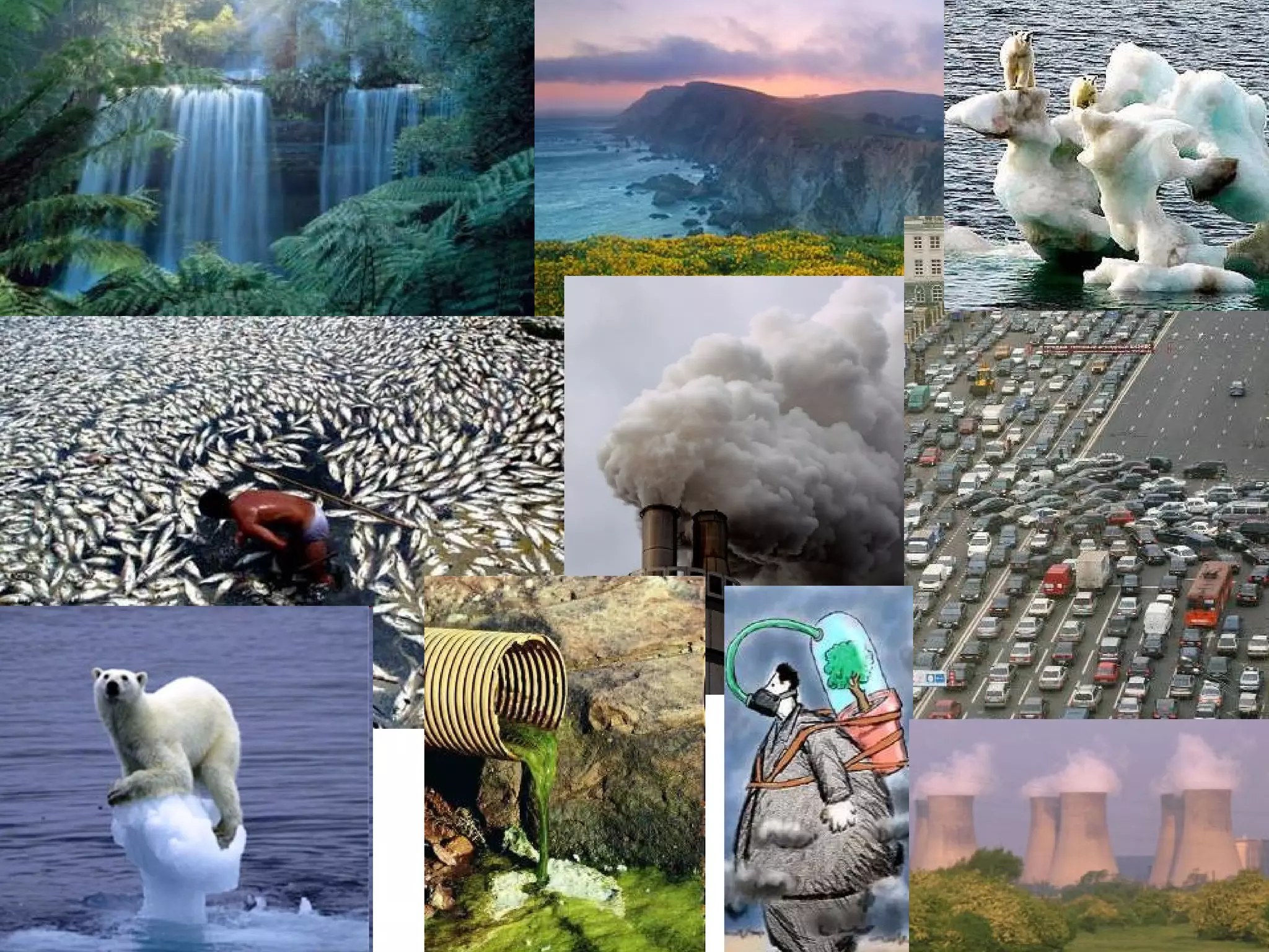 Environment Collages G1 | PPT
