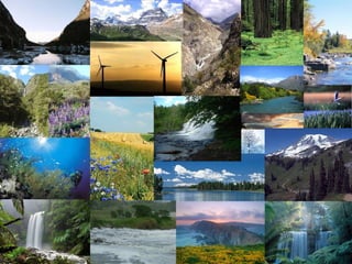 Environment Collages G1 | PPT