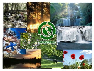 Environment Collages G1 | PPT