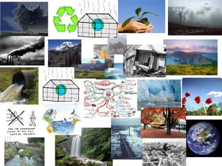 Environment Collages G1 | PPT