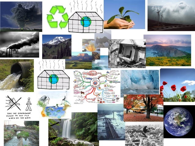 Environment Collages G1 | PPT