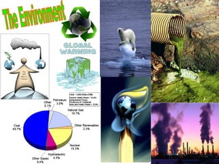Environment Collages G1 | PPT