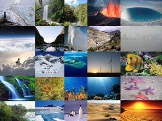 Environment Collages G1 | PPT