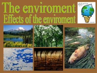 Environment Collages G1 | PPT
