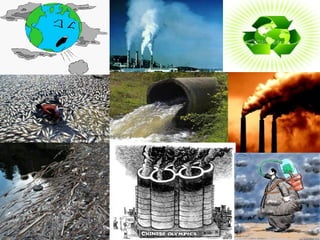 Environment Collages G1 | PPT