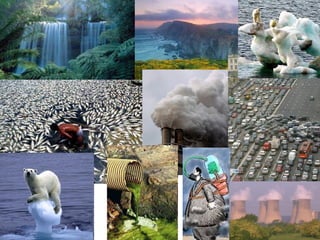 Environment Collages G1 | PPT