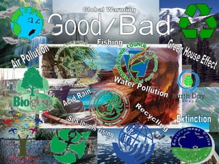 Environment Collages G1 | PPT