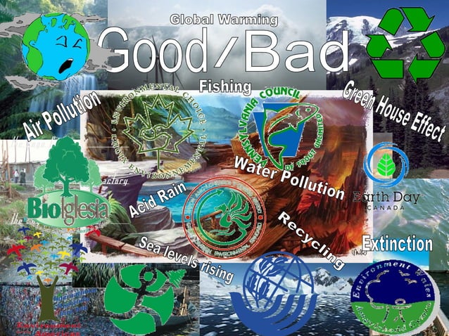 Environment Collages G1 | PPT