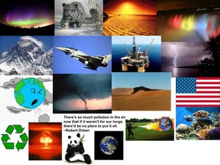 Environment Collages G1 | PPT