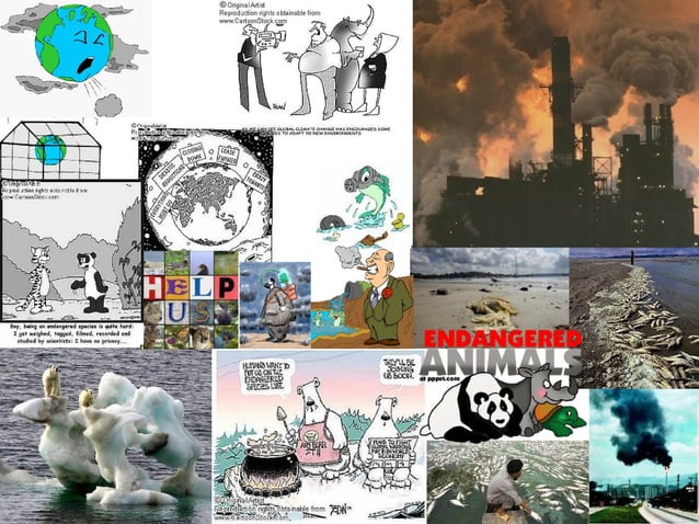 Environment Collages G1 | PPT