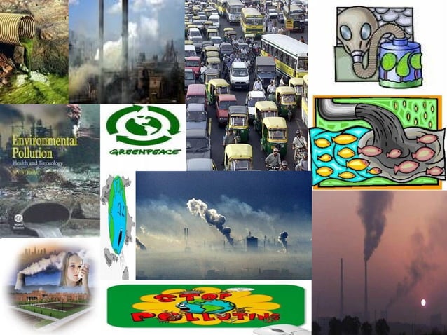 Environment Collages G1 | PPT