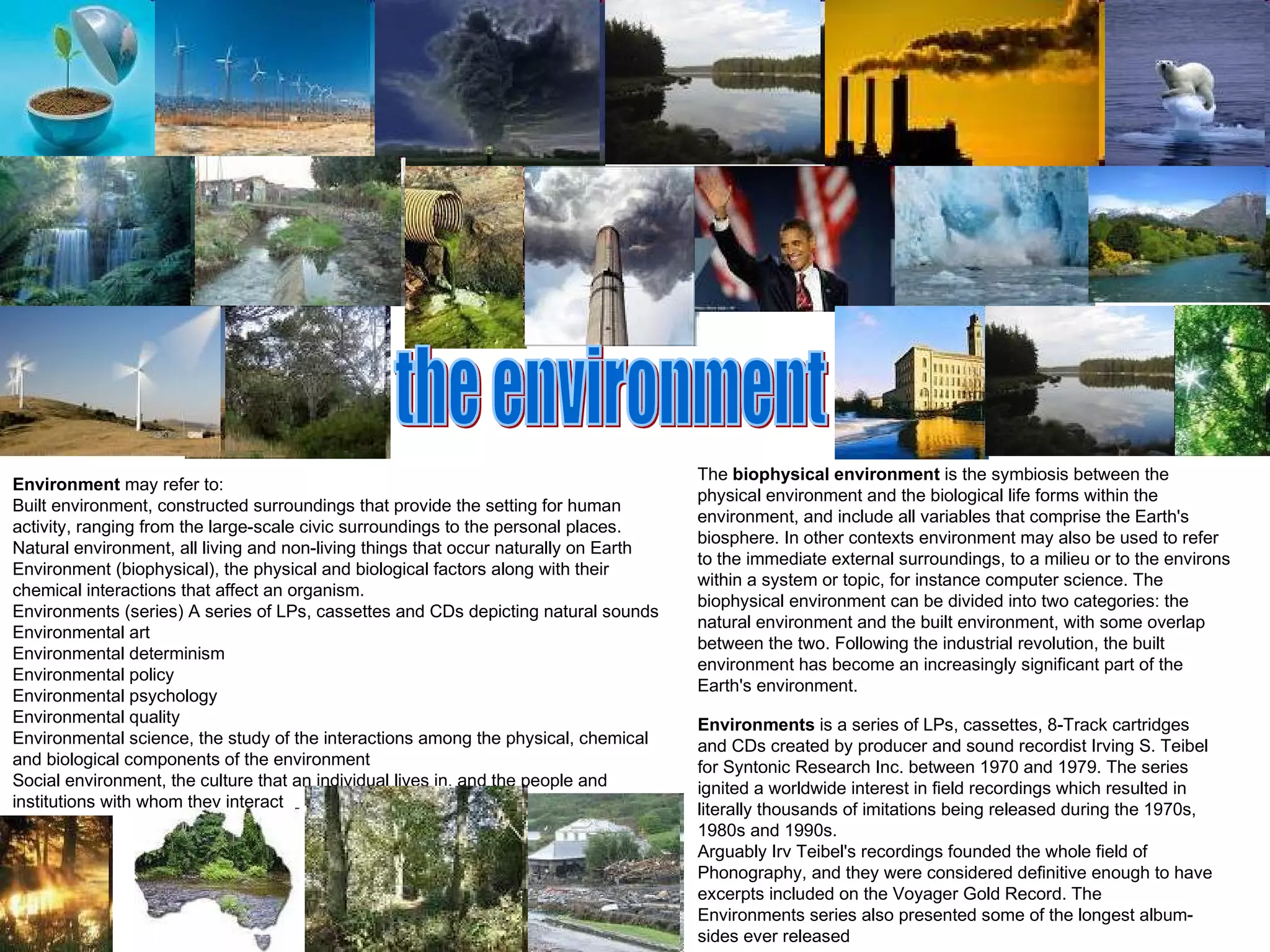 Environment Collages G2 | PPT