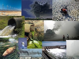 Environment Collages G2 | PPT