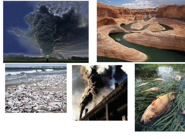 Environment Collages G2 | PPT