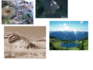 Environment Collages G2 | PPT