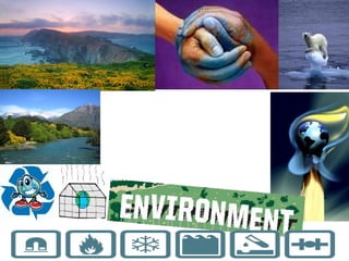 Environment Collages G2 | PPT