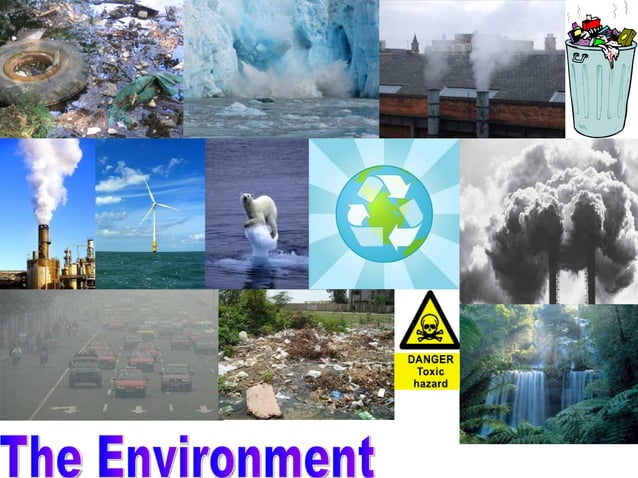 Environment Collages G2 | PPT