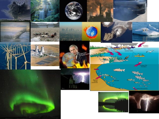 Environment Collages G2 | PPT