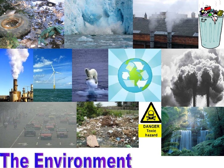 Environment Collages G2