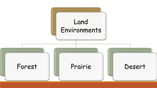Environment grade 1 | PPT