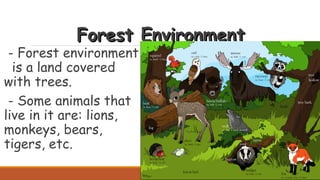 Environment grade 1 | PPT
